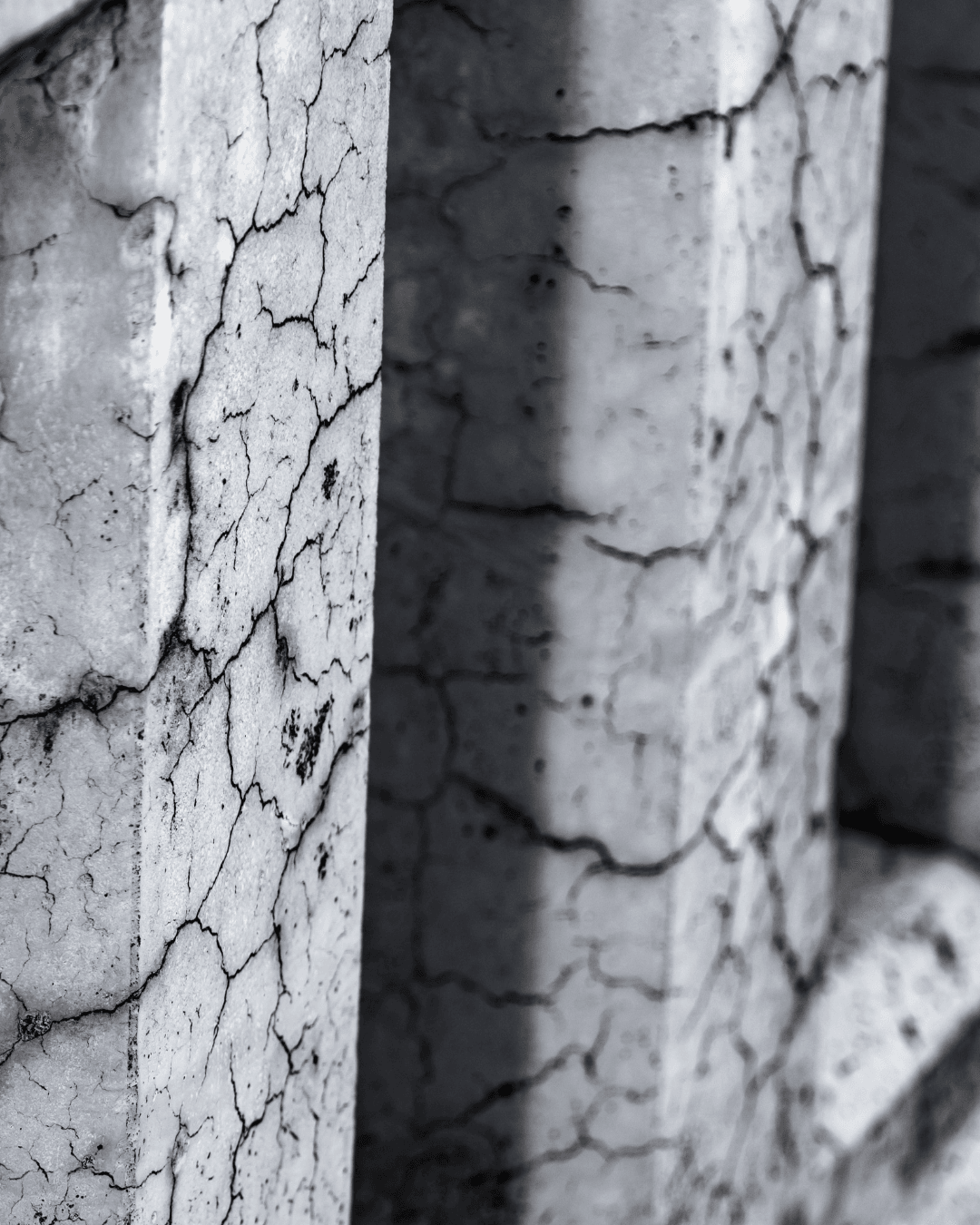 Cracks in the System: Learning from the Collapse of Shield, First ...