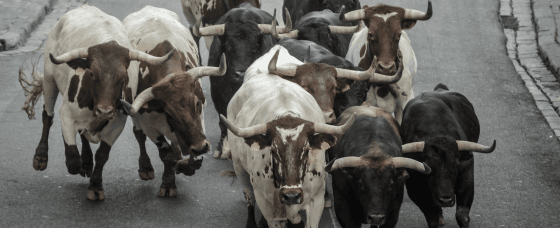 Avoid the Herd for Outsized Returns - InvestmentMarkets | Find ...